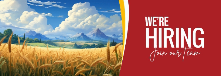 Country Sales Manager Job in Nepal - BLC Instant Food | merojob